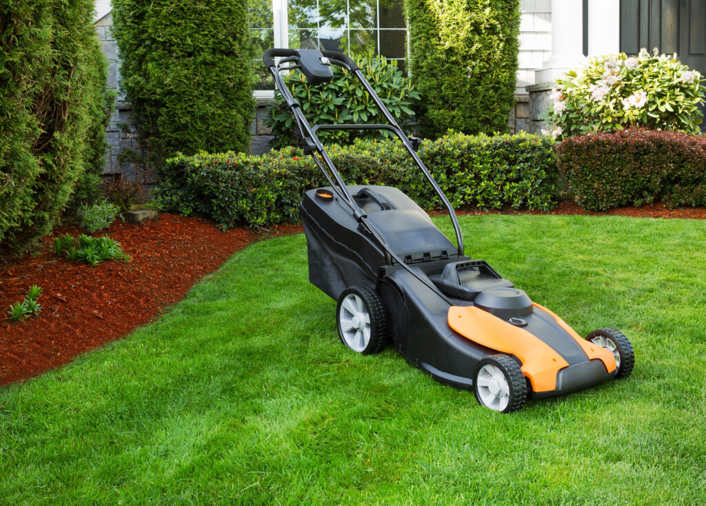Healthy and Hassle-Free: The Perks of Professional Lawn Care Services ...